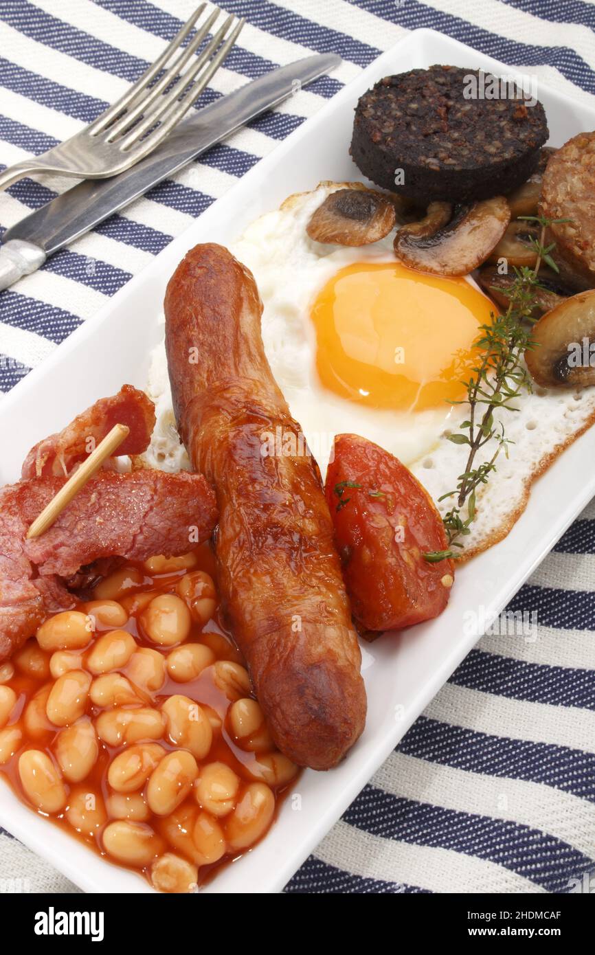fried egg, bacon, hearty, beans, english breakfast, fried eggs, bacons ...