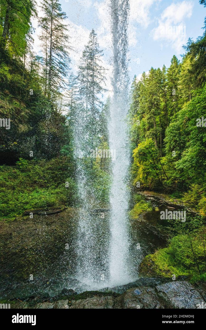 Middle North Falls; Silver Falls State Park; Oregon; USA Stock Photo ...