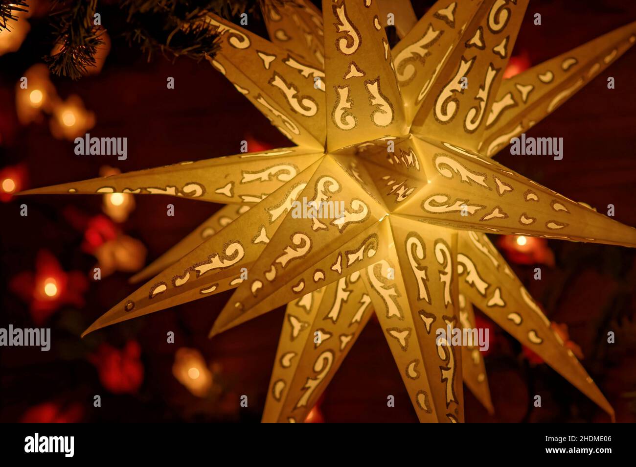 poinsettia, christmas lights, paper star, poinsettias, christmas light ...