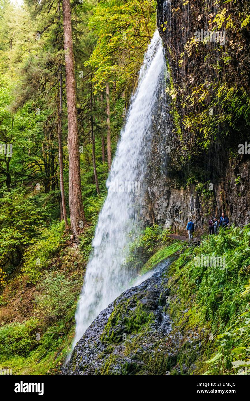 Middle North Falls; Silver Falls State Park; Oregon; USA Stock Photo ...