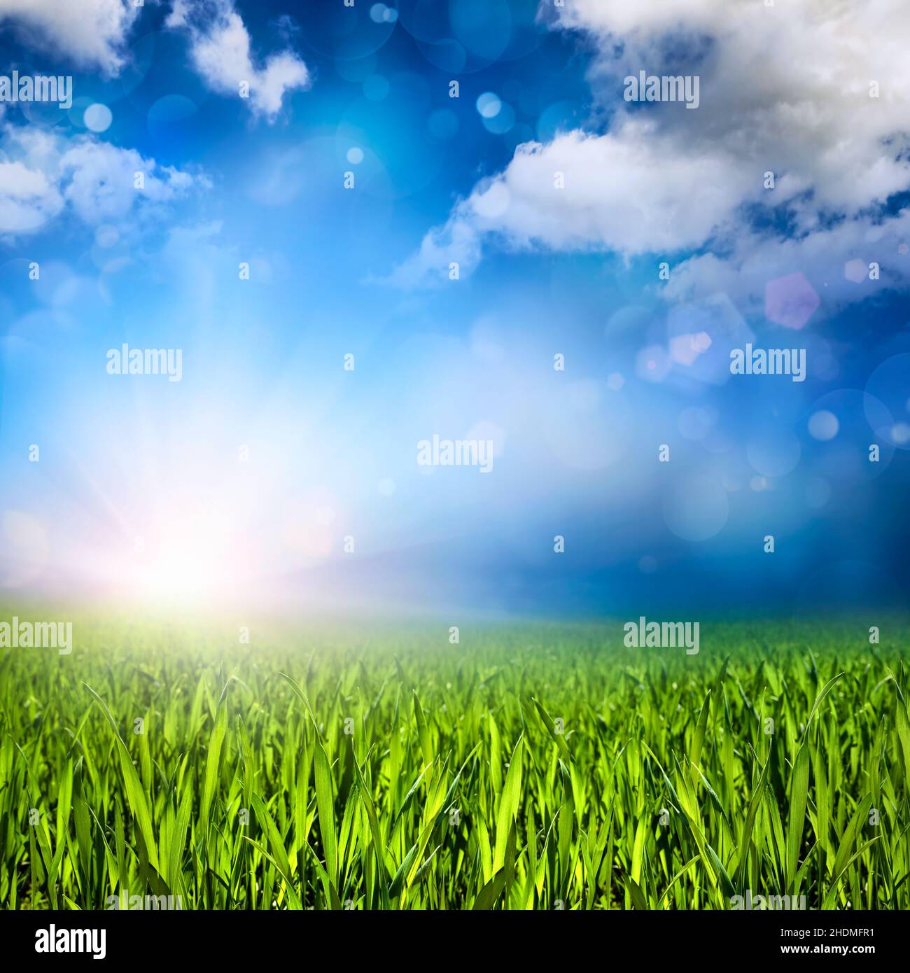 Summer suns hi-res stock photography and images - Alamy