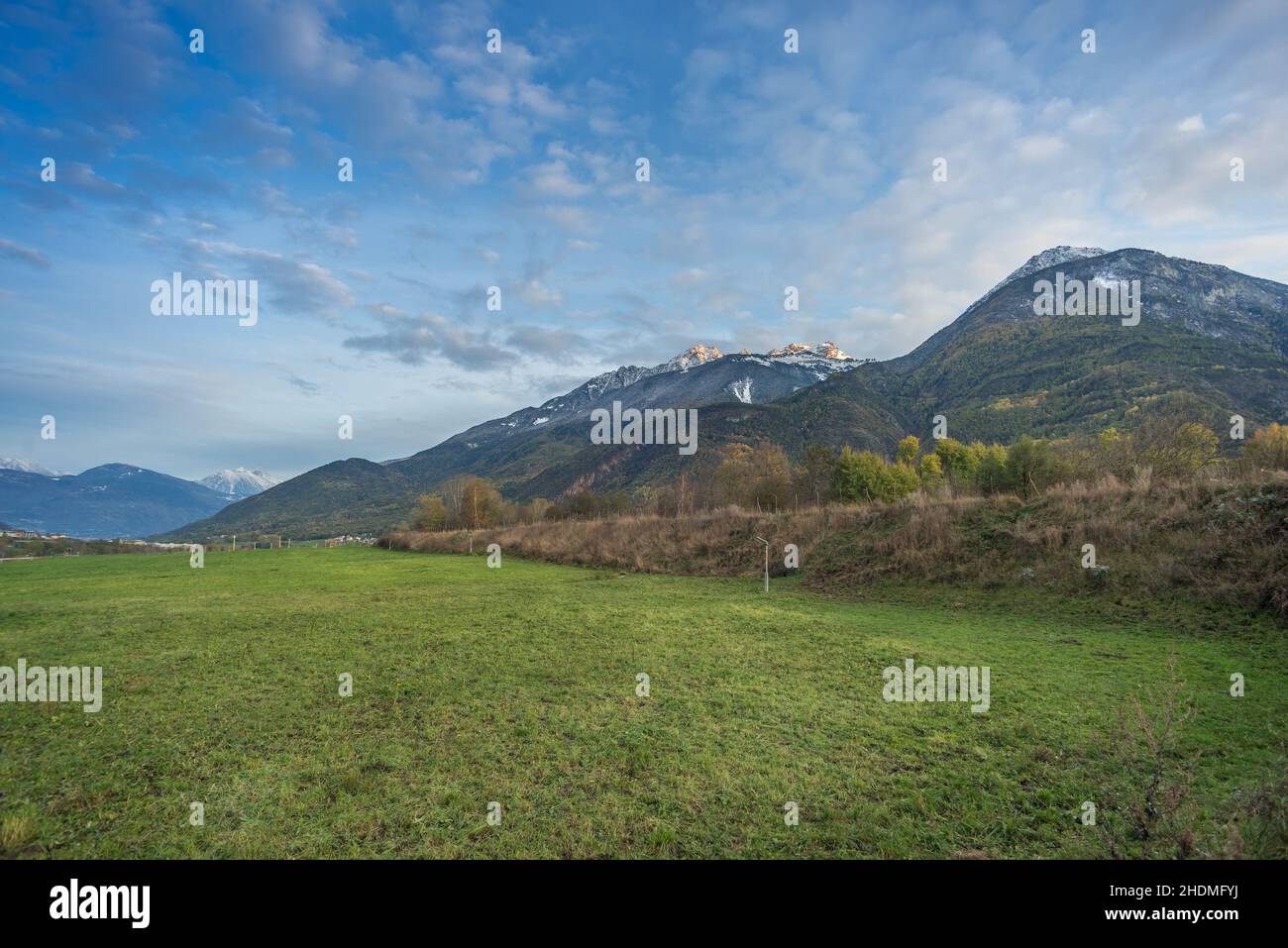 Blue hour forest hi-res stock photography and images - Alamy