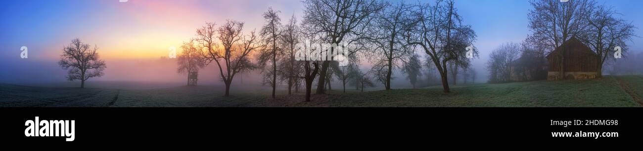 dawn twilight, fog, trees, dawns, fogs, tree Stock Photo - Alamy