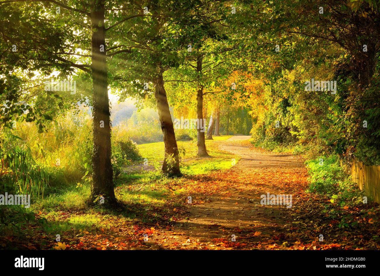 path, sun, paths, suns, sunspot Stock Photo - Alamy
