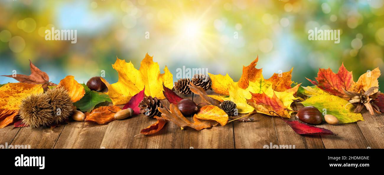 autumn leaves, autumn, wooden table, leaf, fall, wooden tables Stock ...