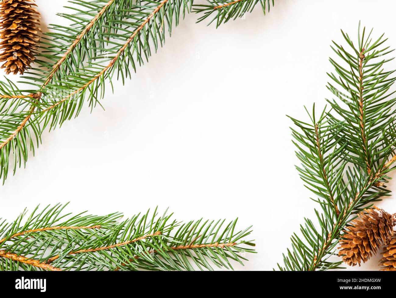 Christmas frame border of pine cones on a white background with copy ...