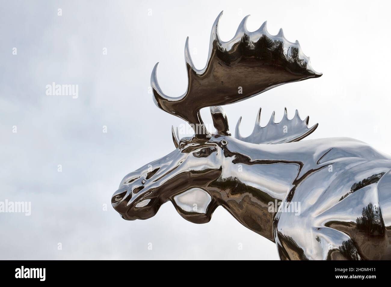 Moose sculptures hi-res stock photography and images - Alamy