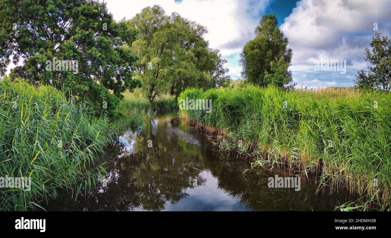 river, flood plain, floodplains, rivers, flood plains, floodplain Stock ...
