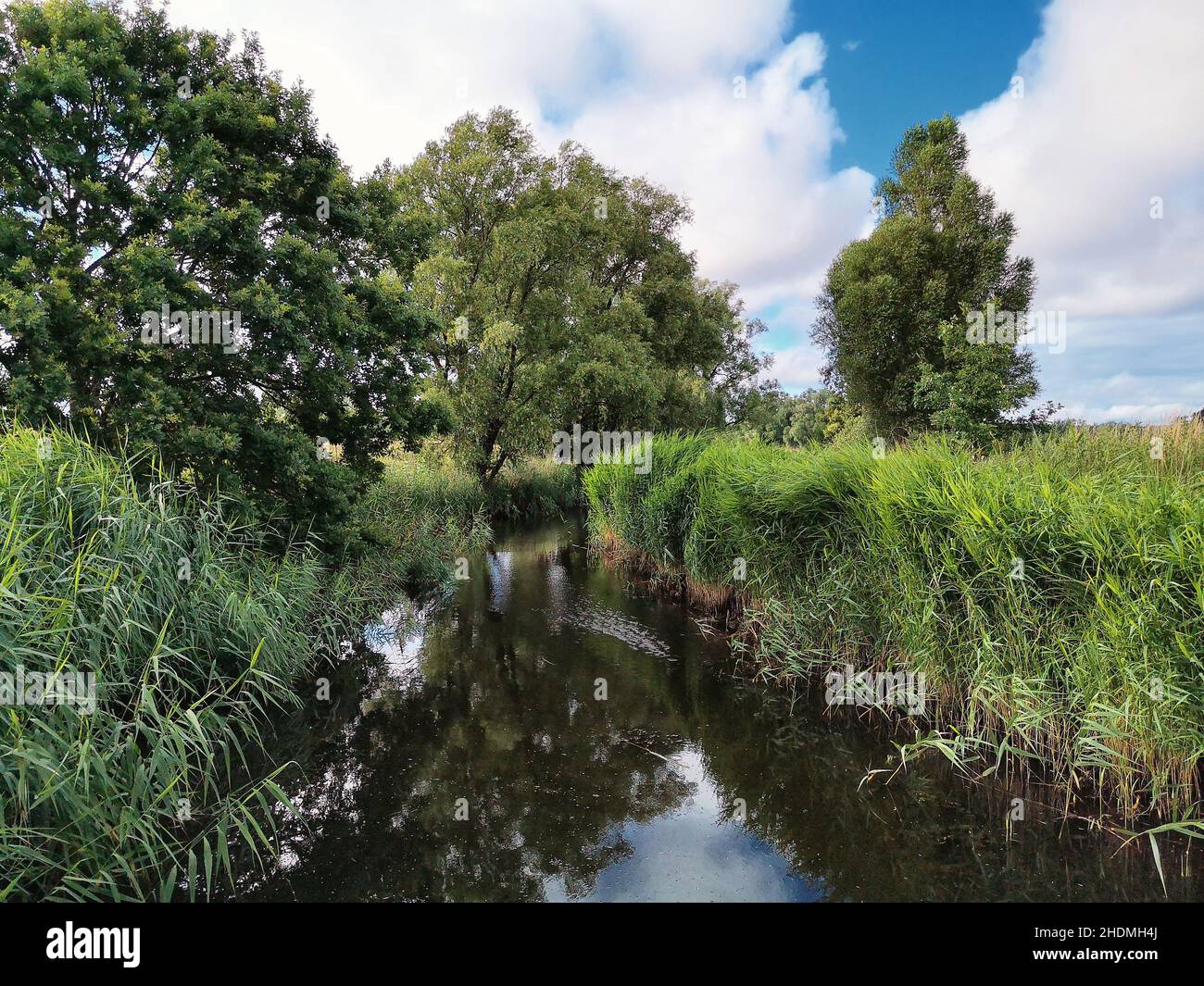 river, flood plain, floodplains, rivers, flood plains, floodplain Stock ...