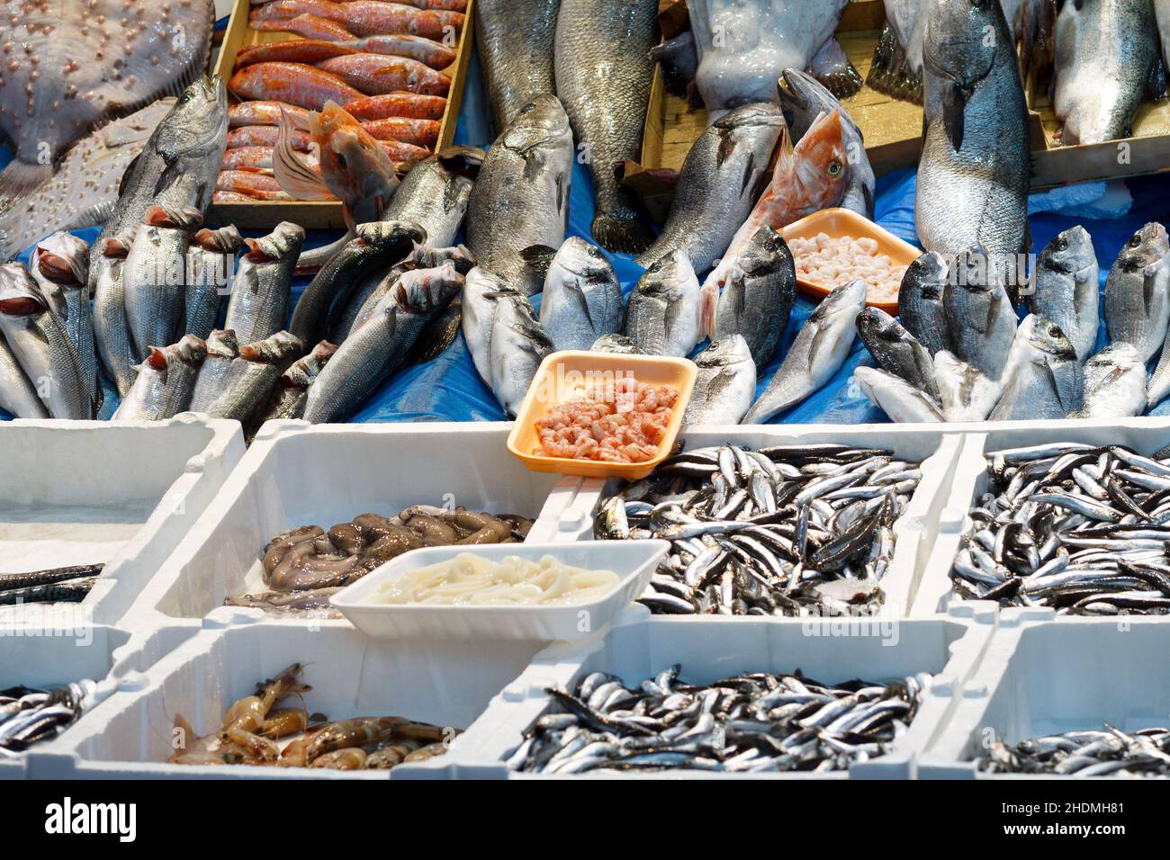 fish market, fresh fish, fish markets, fresh fishs Stock Photo - Alamy
