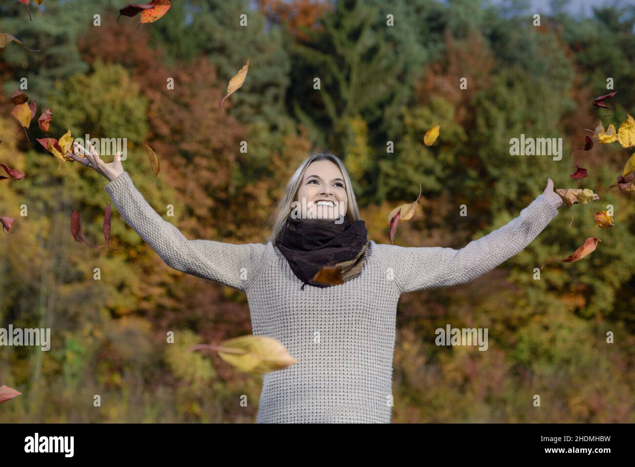 woman, autumn, autumn leaves, female, ladies, lady, women, fall, autumn ...