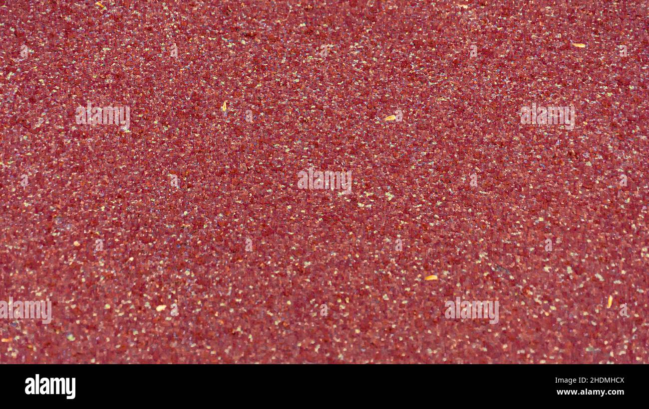 Red pond algae, covering village pond, protozoan Euglean red bloom ...