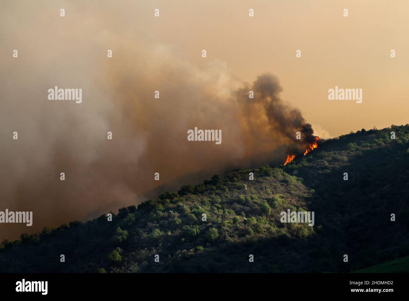 forest fire, brush fire, forest fires, brush fires Stock Photo - Alamy