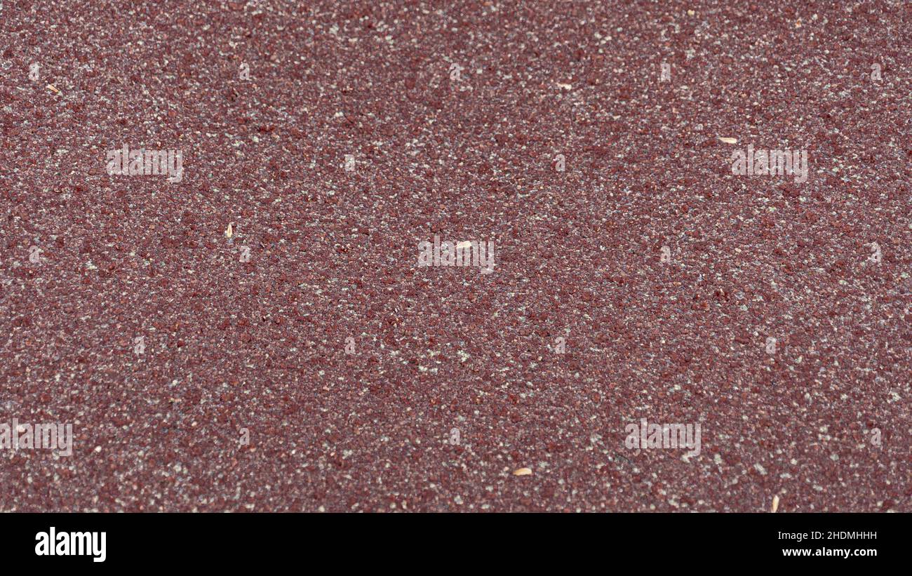 Red pond algae, covering village pond, protozoan Euglean red bloom ...