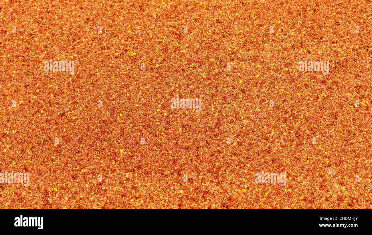 Red pond algae, covering village pond, protozoan Euglean red bloom ...