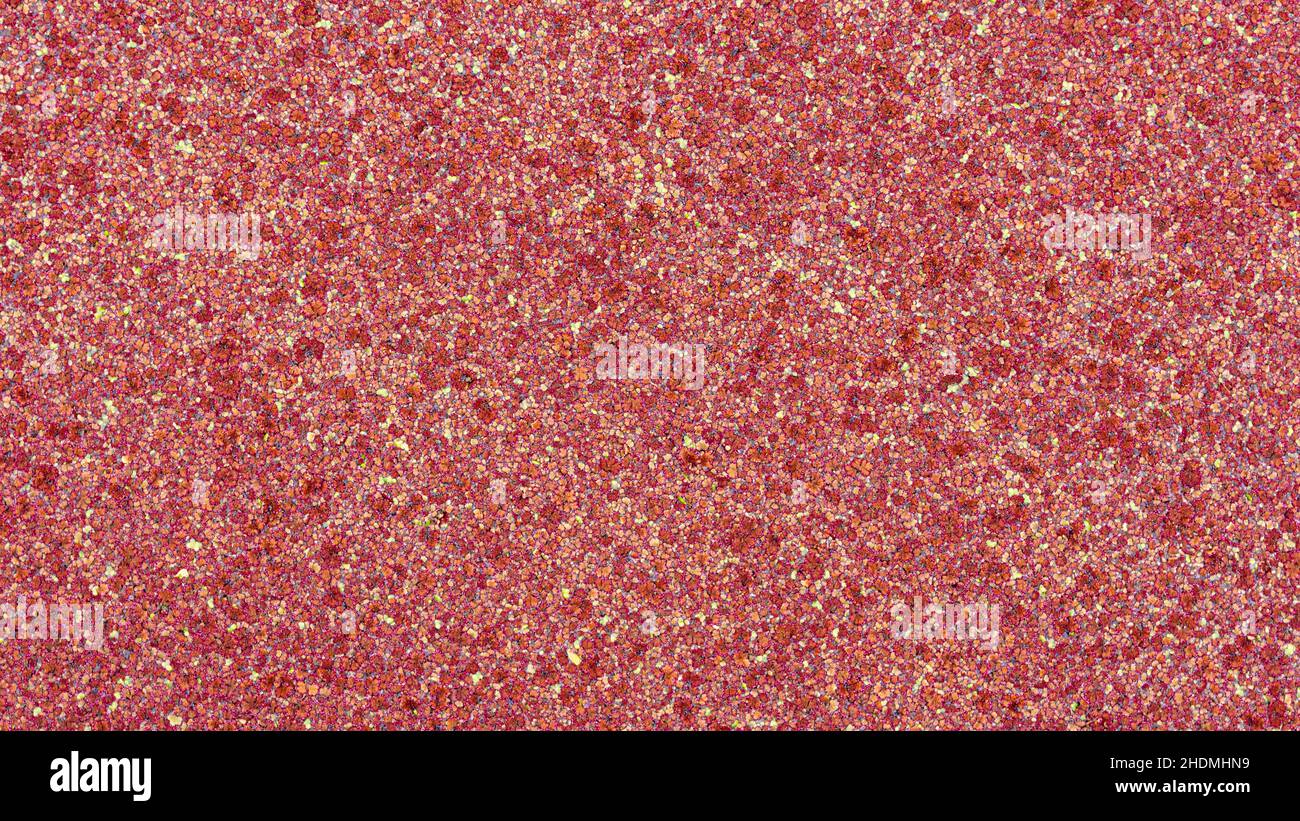 Red pond algae, covering village pond, protozoan Euglean red bloom ...