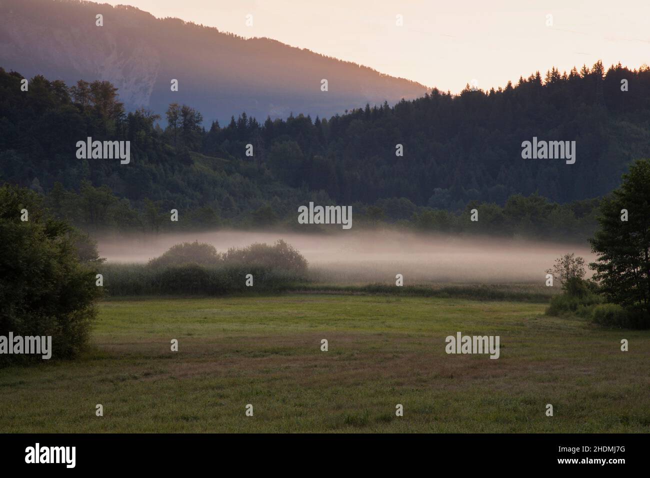 fog, morning fog, fogs, morning fogs Stock Photo - Alamy