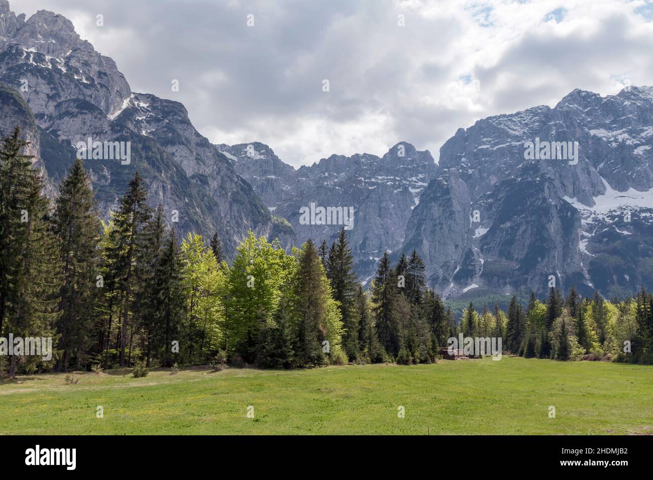 massif, Montasio massif, massifs Stock Photo - Alamy