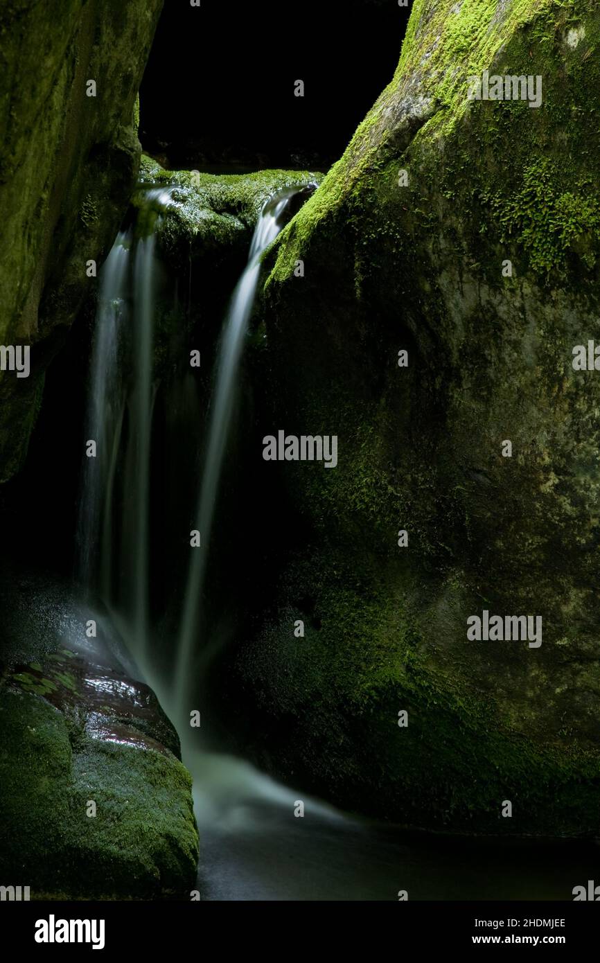 moss, stream, flowing, mosses, ditch, streams Stock Photo - Alamy