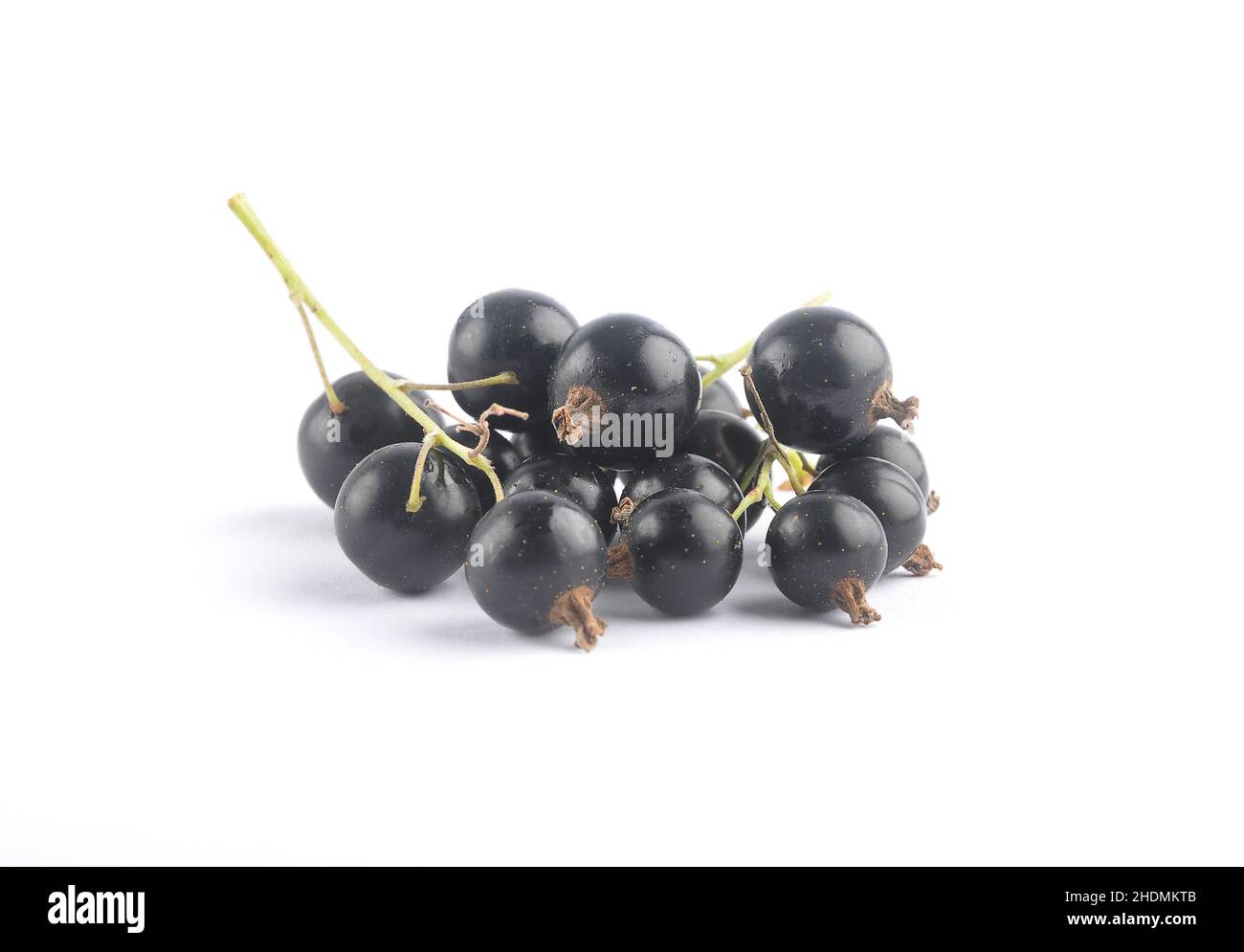 black currant, black currants Stock Photo - Alamy