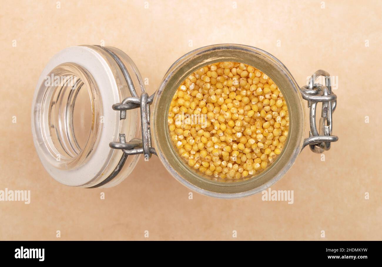 millet seed, millet seeds Stock Photo - Alamy