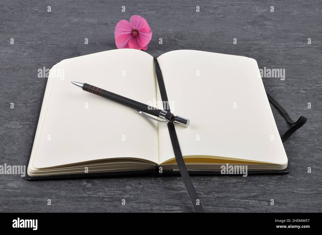 Note shots hi-res stock photography and images - Alamy