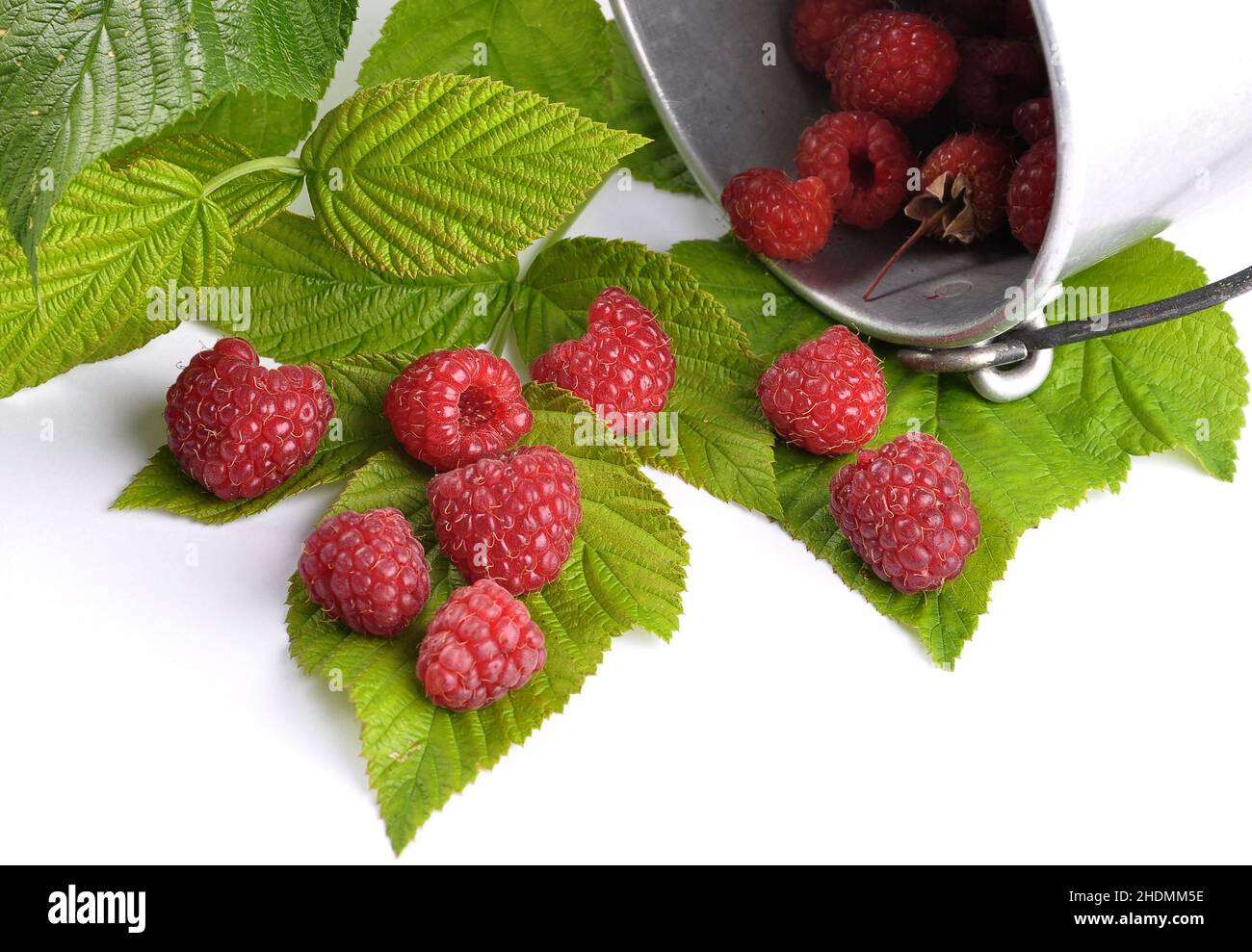 Raspberry harvests hi-res stock photography and images - Alamy