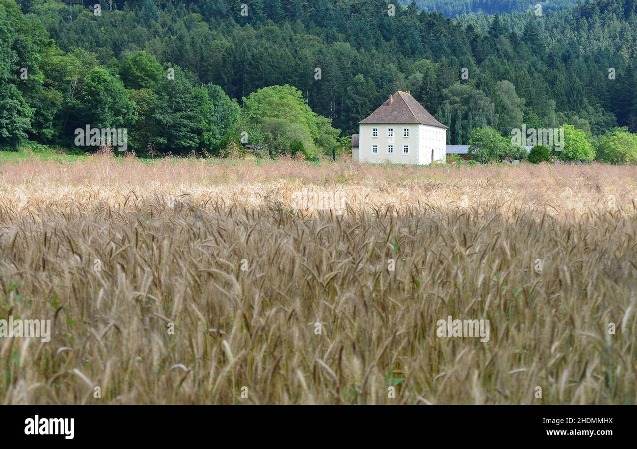 field, farmhouse, fields, farmhouses Stock Photo - Alamy
