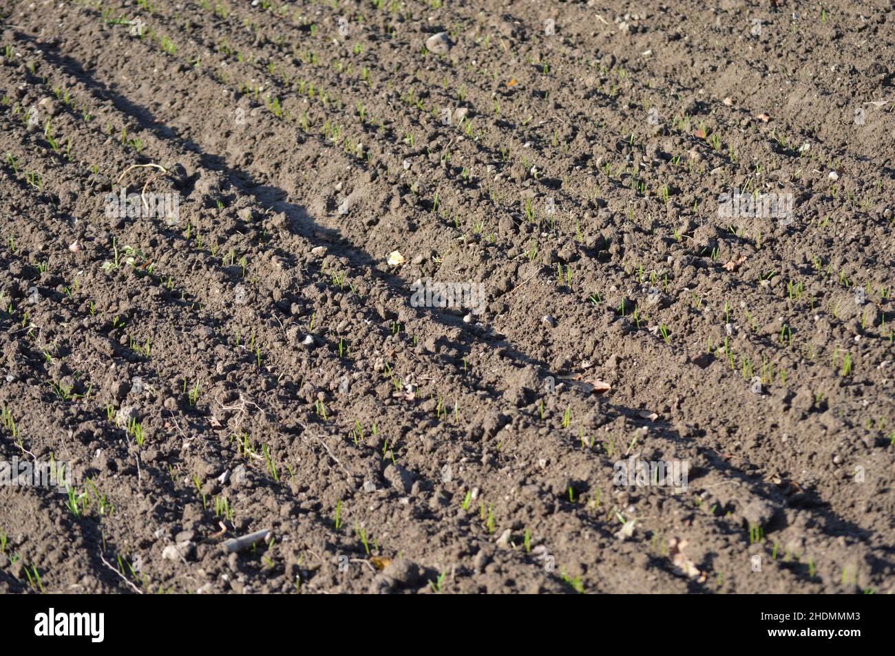 Arables hi-res stock photography and images - Alamy