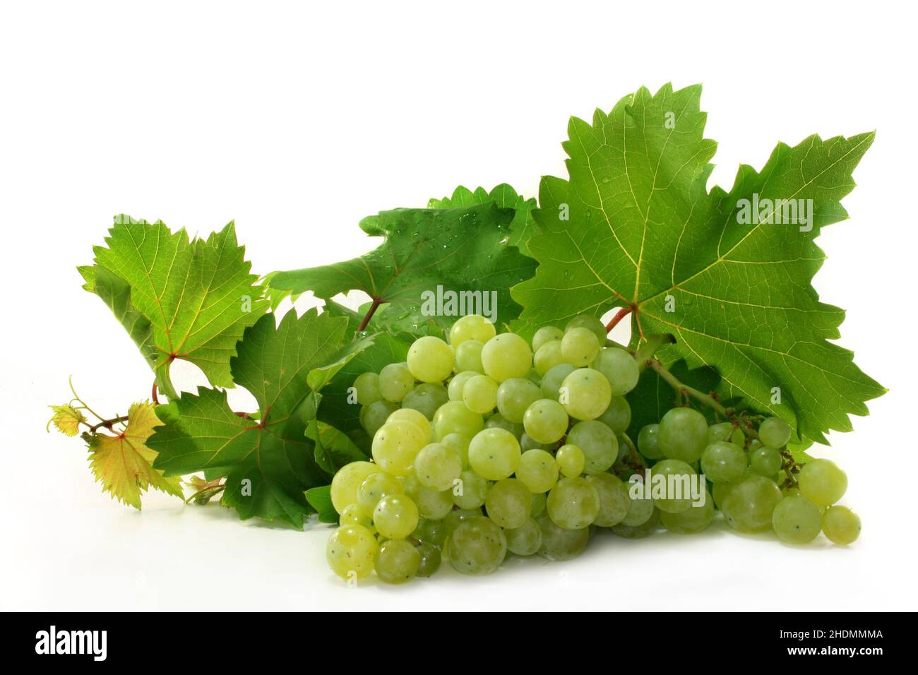 grape, white grape, grapes, white grapes Stock Photo - Alamy