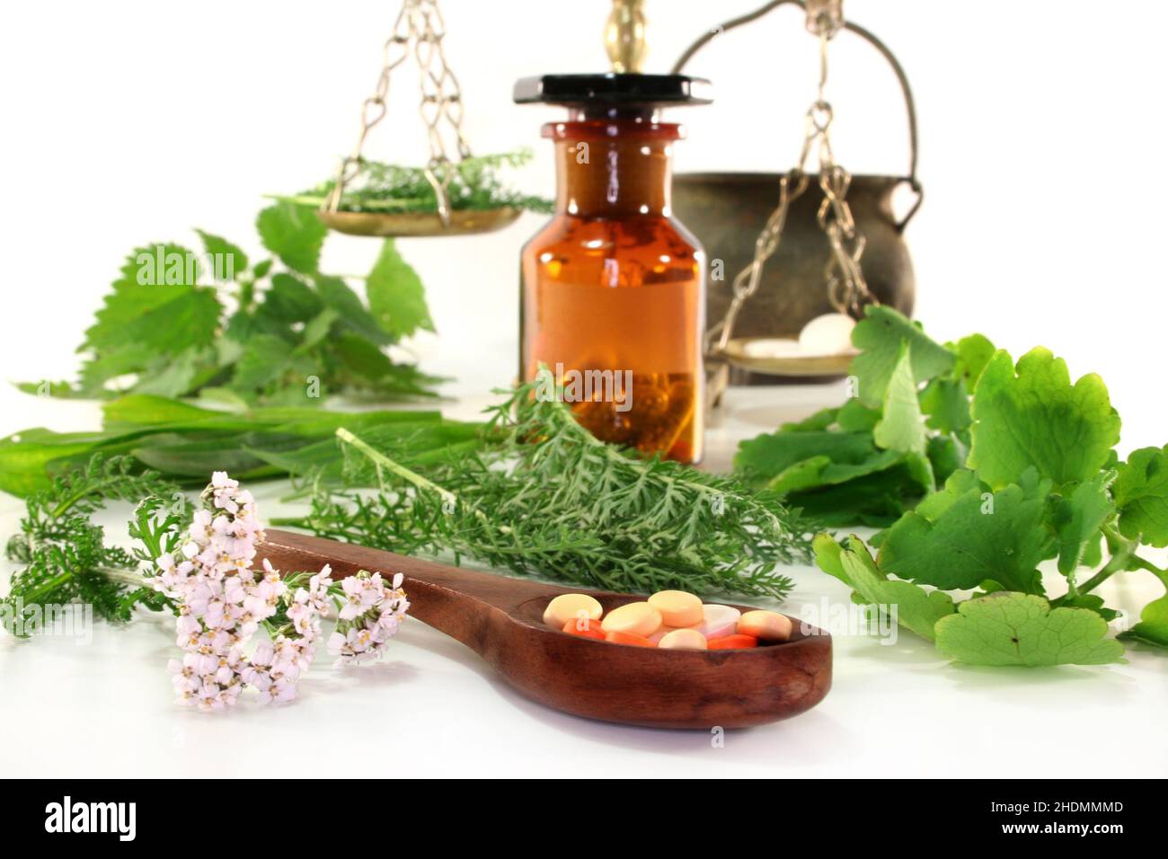 homeopathic, vegetable, homeopathic medicine, homeopathics, vegetables ...