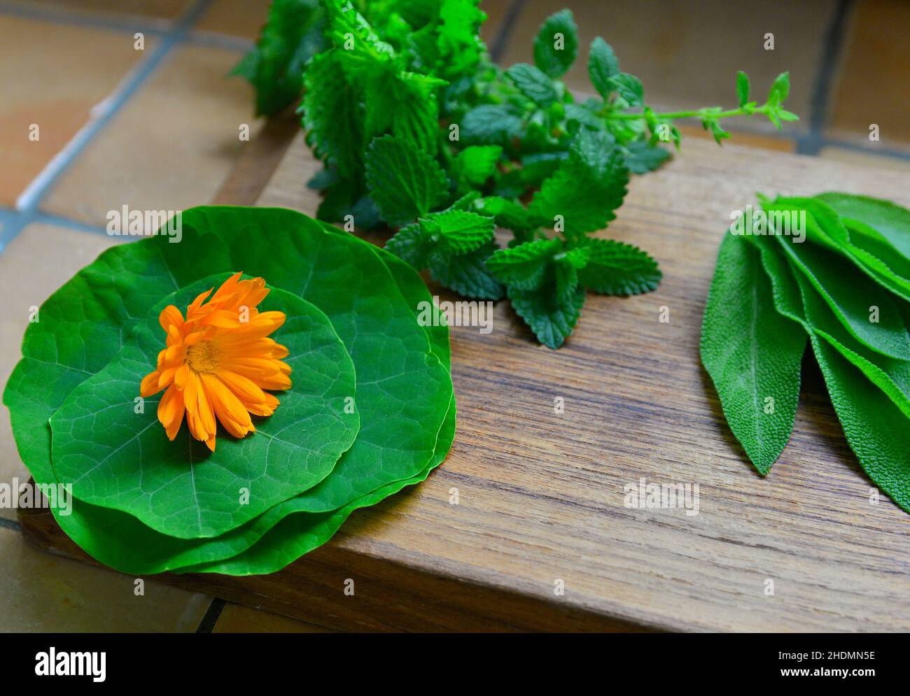 garden herbage, herbages Stock Photo - Alamy