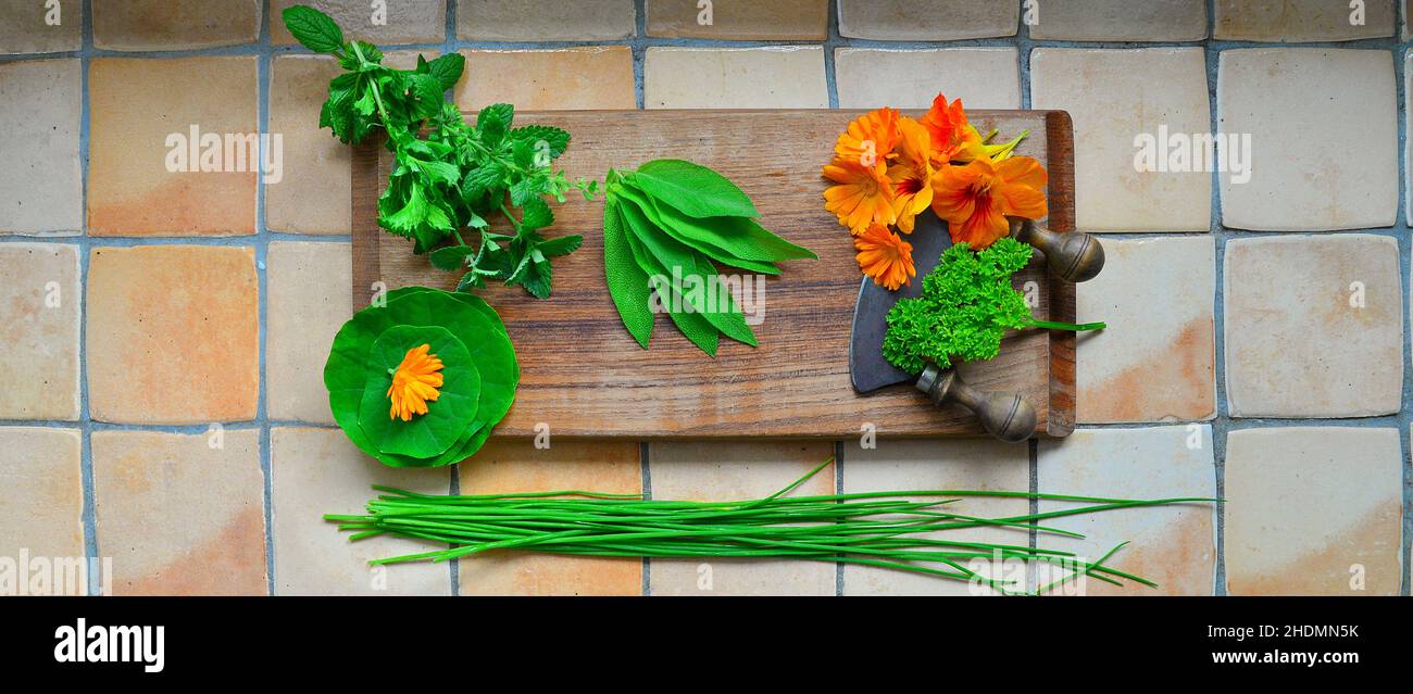 Garden herbage hi-res stock photography and images - Alamy