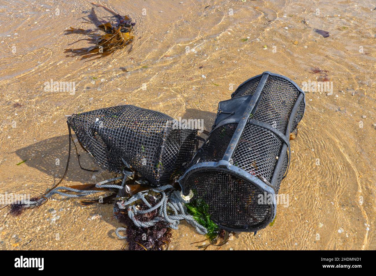 Trab hi-res stock photography and images - Alamy