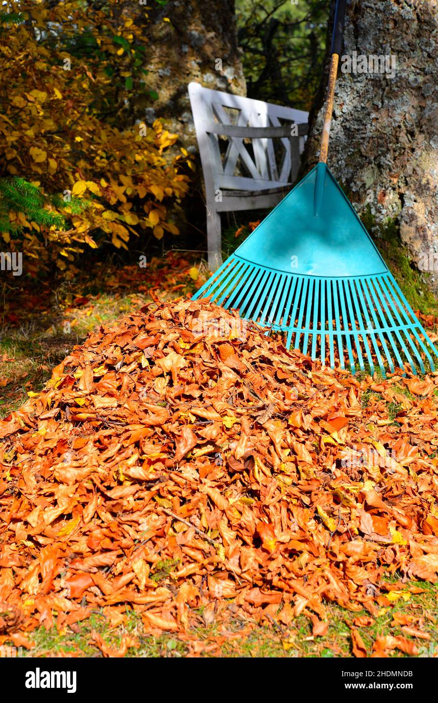 gardening, leaf rake, leaf pile, plant care, tending of plants, leaf ...