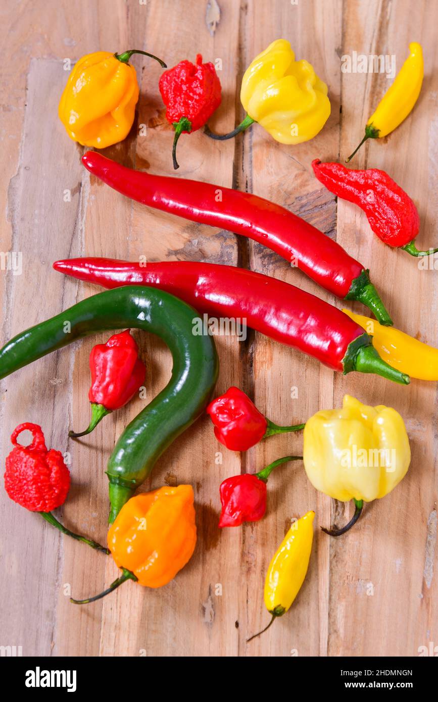 chili, varieties, variety Stock Photo - Alamy