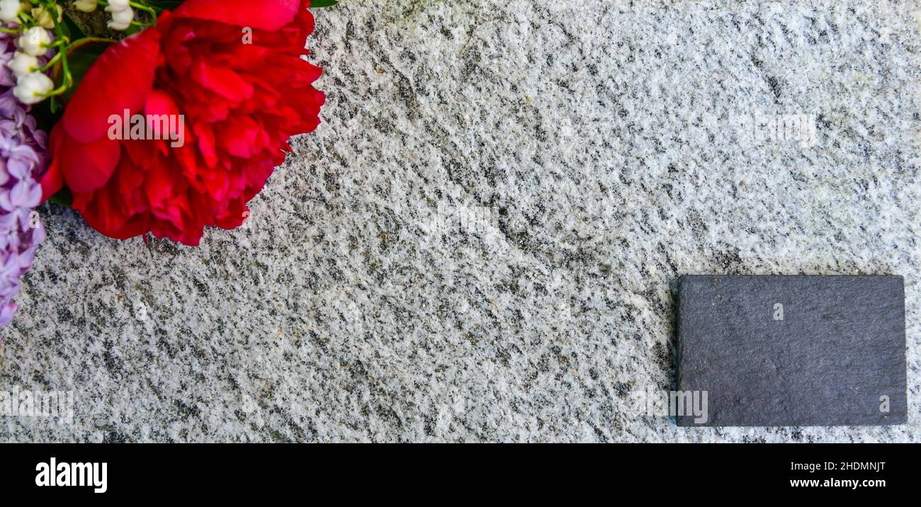 spring flower, granite, slate, spring flowers, granites, slates Stock ...