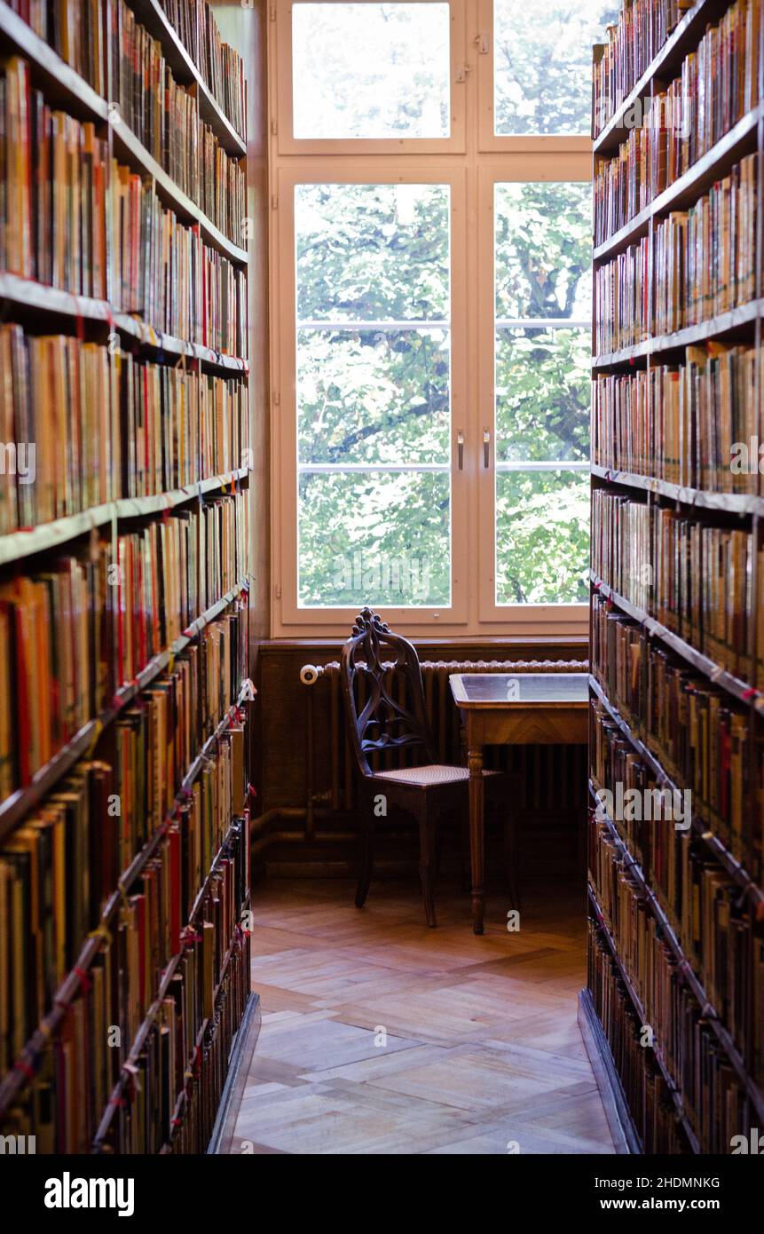 book shelf, library, bookshelfs, shelf, shelves, vitrine, book shop ...