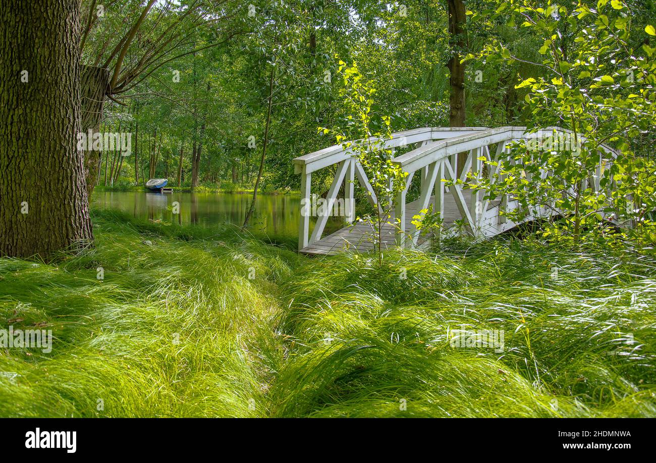park, bridge, parks, bridges Stock Photo - Alamy