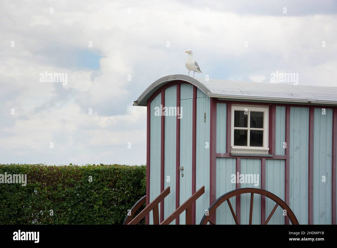 Seagull trailer hi-res stock photography and images - Alamy