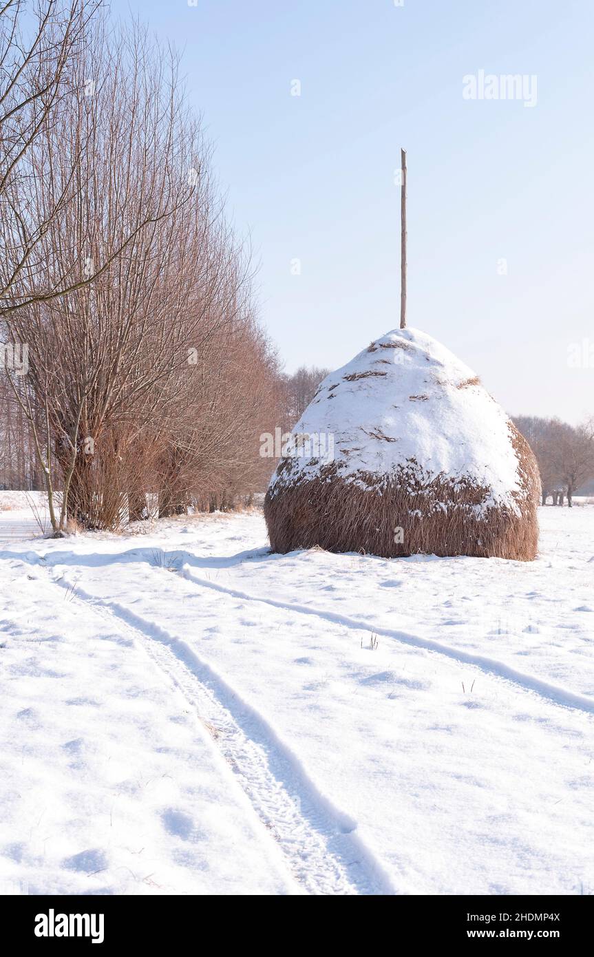 Agriculture haystack hi-res stock photography and images - Alamy