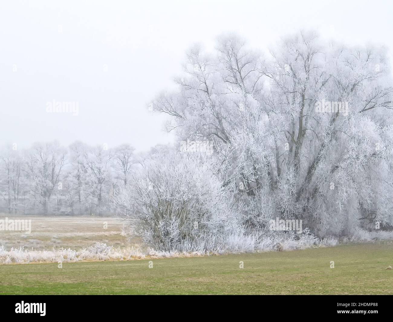 winter, frost, rime, winters, frosts, rimes Stock Photo - Alamy