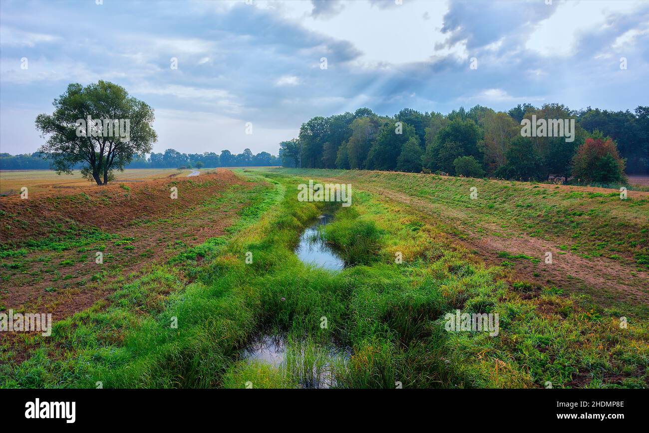 landscape, lusatia, landscapes, rural, rural scene, scene, scenery ...