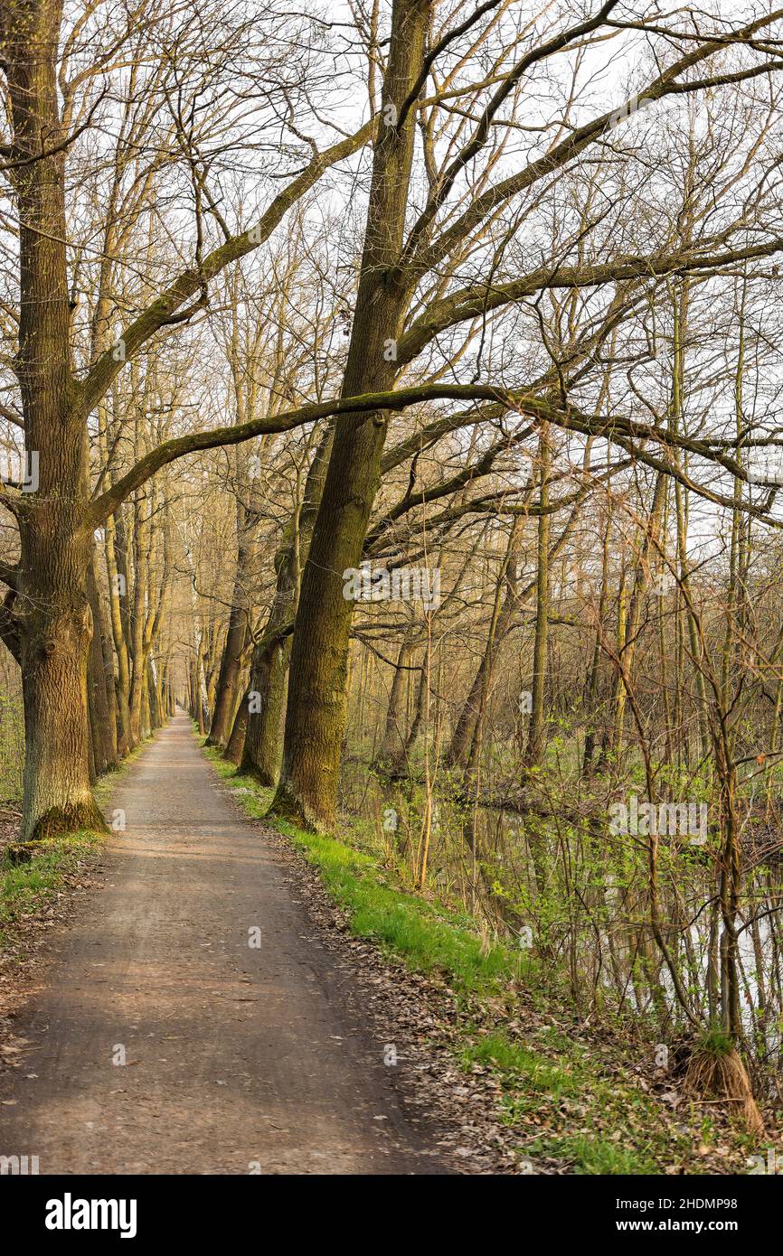 Alleys and canals hi-res stock photography and images - Alamy