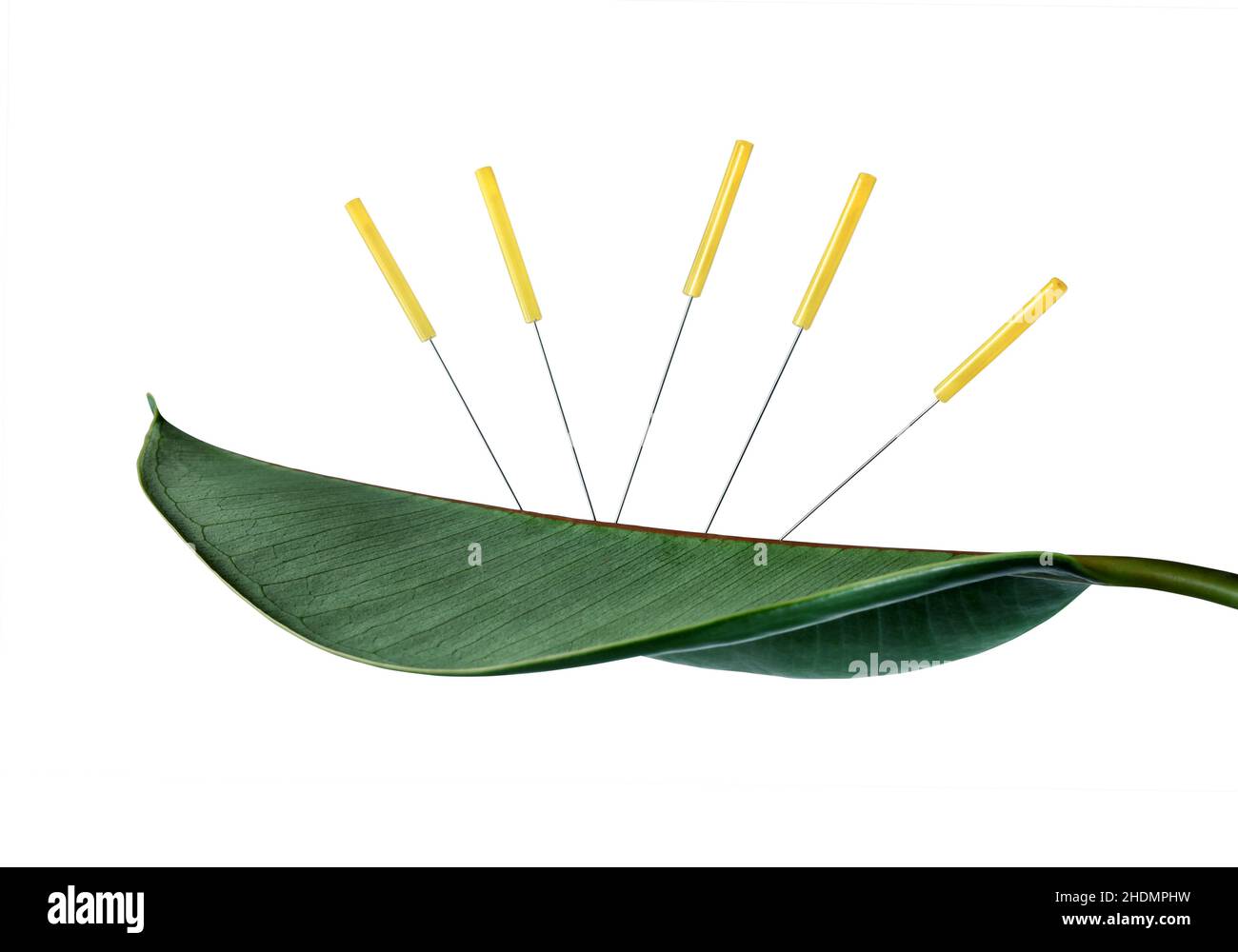 acupuncture, acupuncture needle, chinese medicine, acupunctures ...