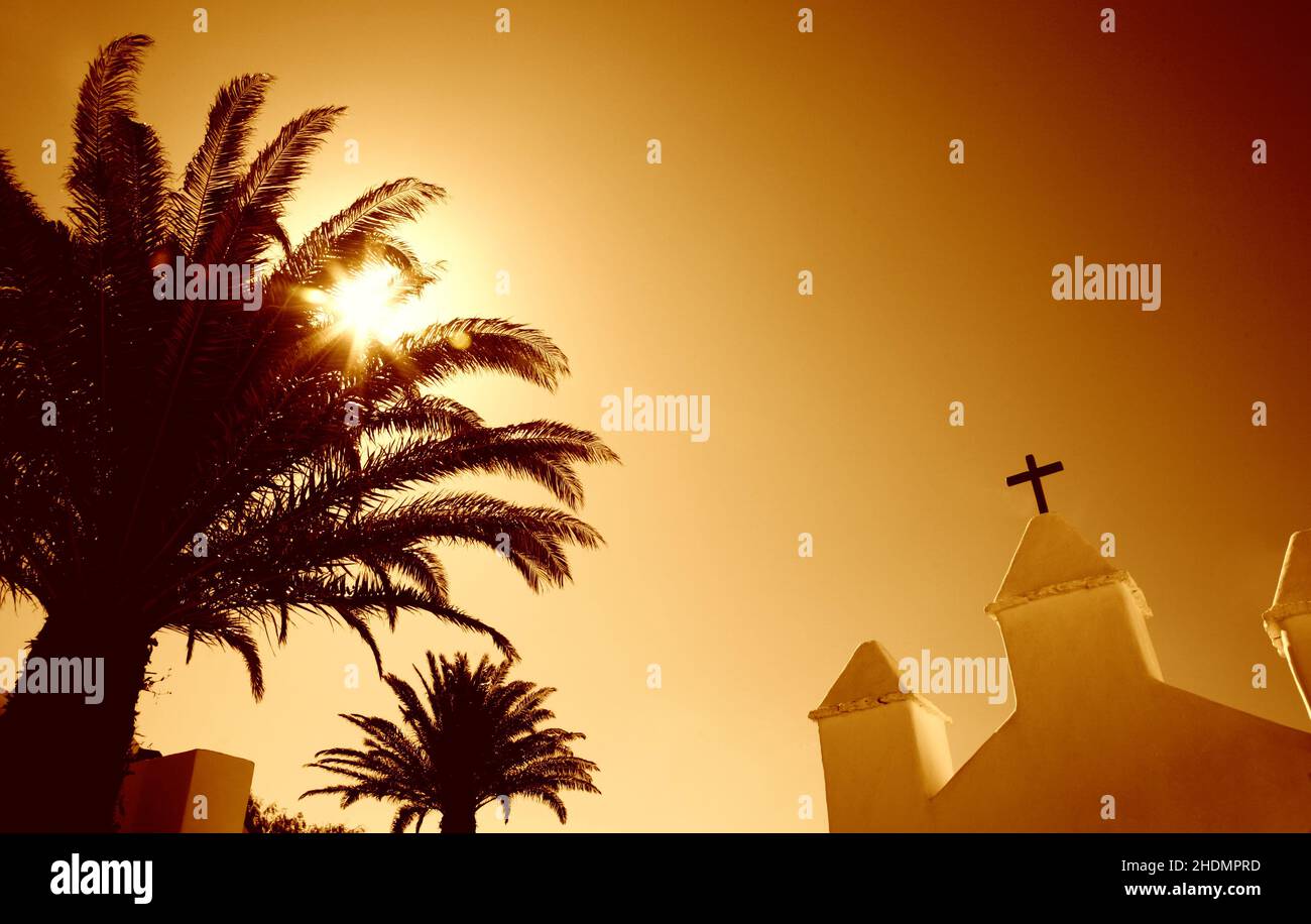 sunlight, church, palm, sun ray, sun rays, sunbeam, sunbeams, sunlights ...