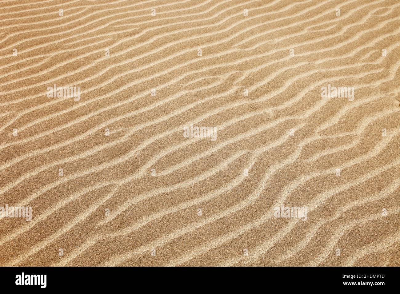 desert, sand, rippled, deserts, wüste, sands, rippleds Stock Photo - Alamy