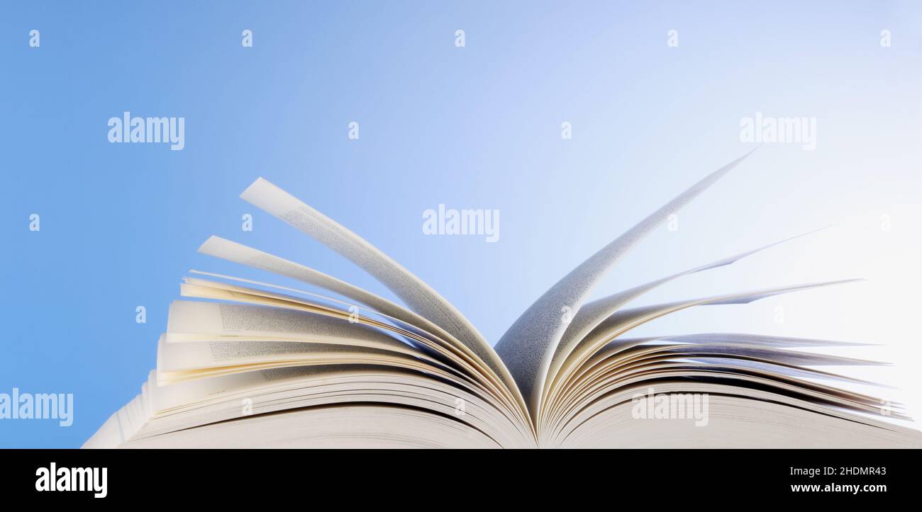 book, book page, open, books, book pages, page, pages, opens Stock ...