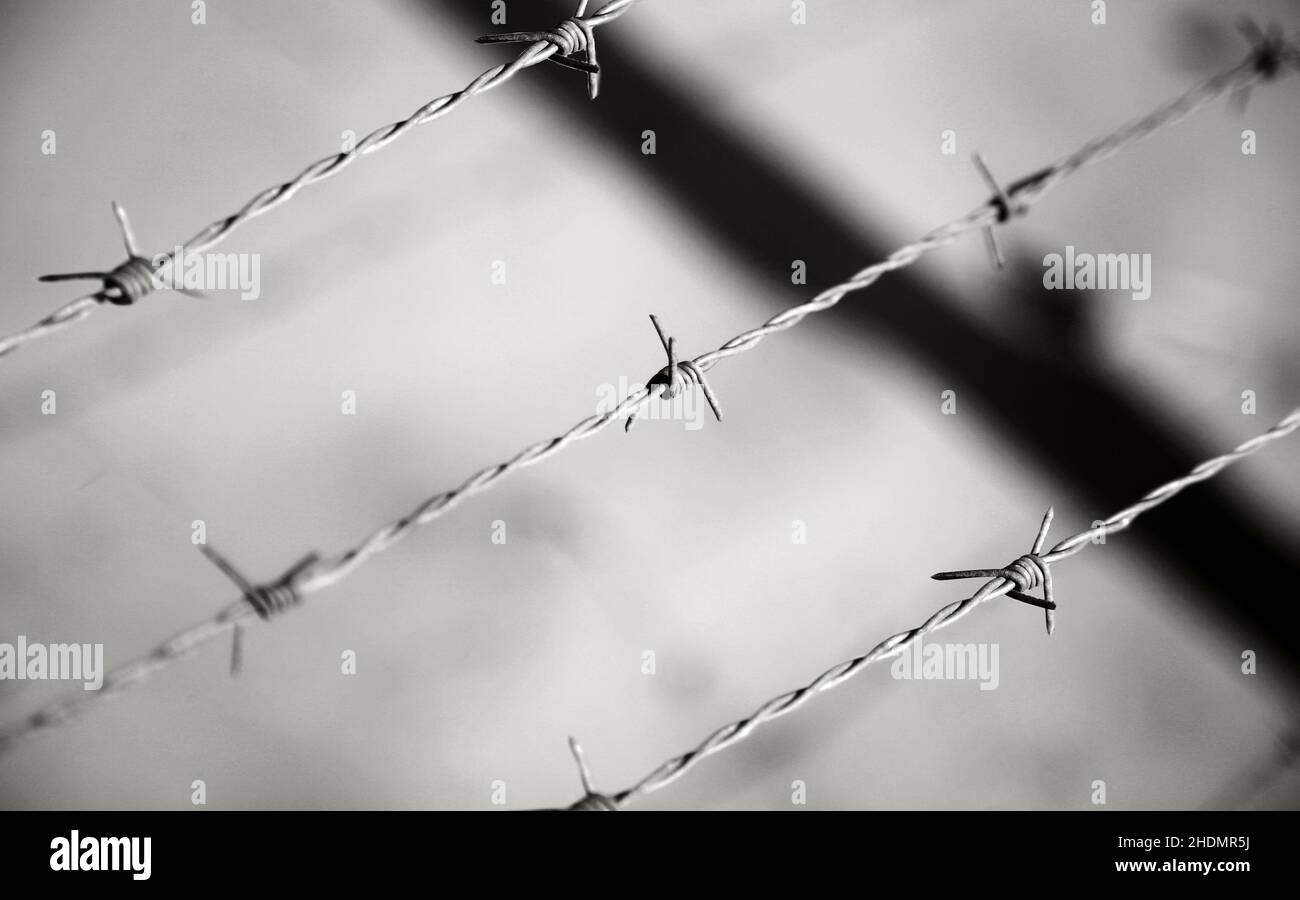 Border wires hi-res stock photography and images - Alamy