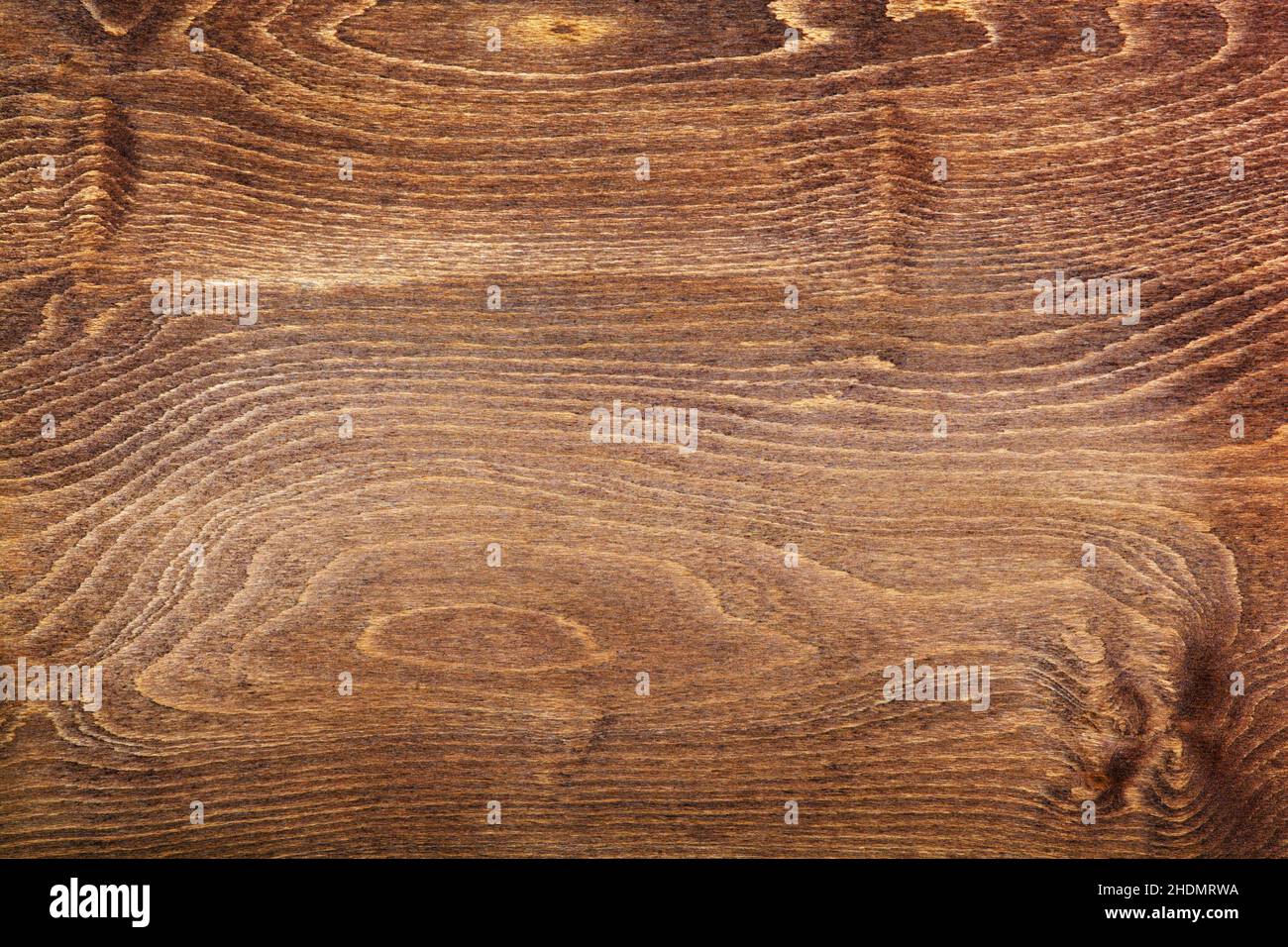 wood grain, wood ground, wood area, wood grains, wood grounds, woodland ...